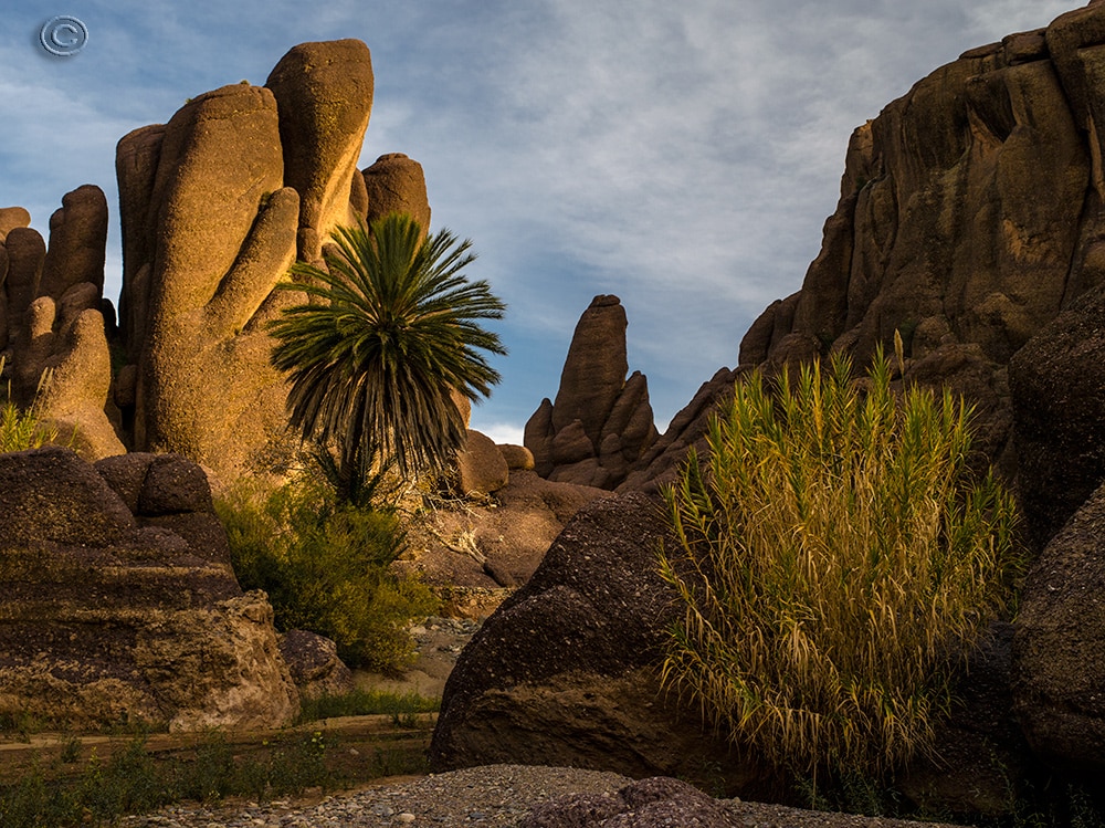 6-Day Trekking Saghro Anti-Atlas - Adventure Culture Morocco